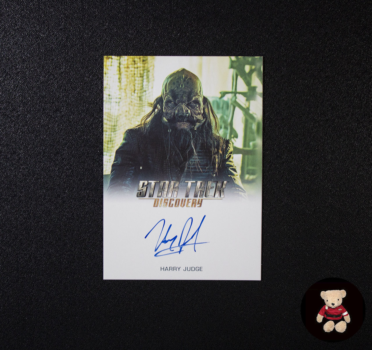 Harry Judge | The Captains Chair